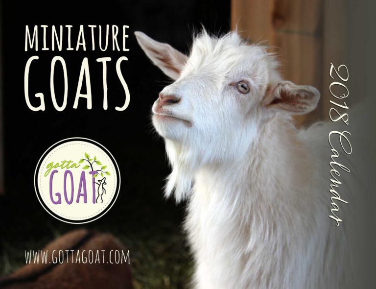 Lease-A-Goat | GottaGoat